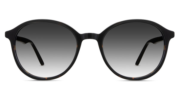 Anso Sunglasses for Men | Hip Optical - Hip Optical