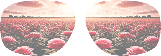 sunglasses and tinted images - Hip Optical