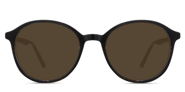 Anso Sunglasses for Men | Hip Optical - Hip Optical